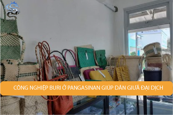 Ngành công nghiệp Buri ở thị trấn Pangasinan giúp dân làng giữa đại ...